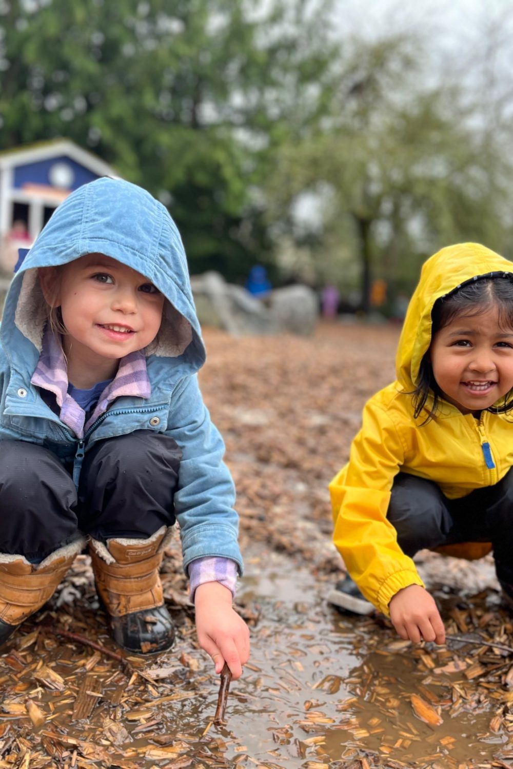 Campus – Arbor Schools